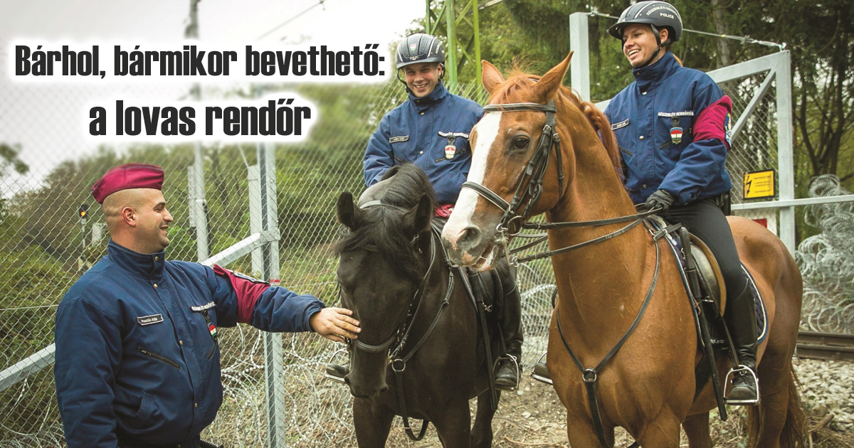 Bárhol, bármikor bevethető: a lovas rendőr | Lovasok.hu