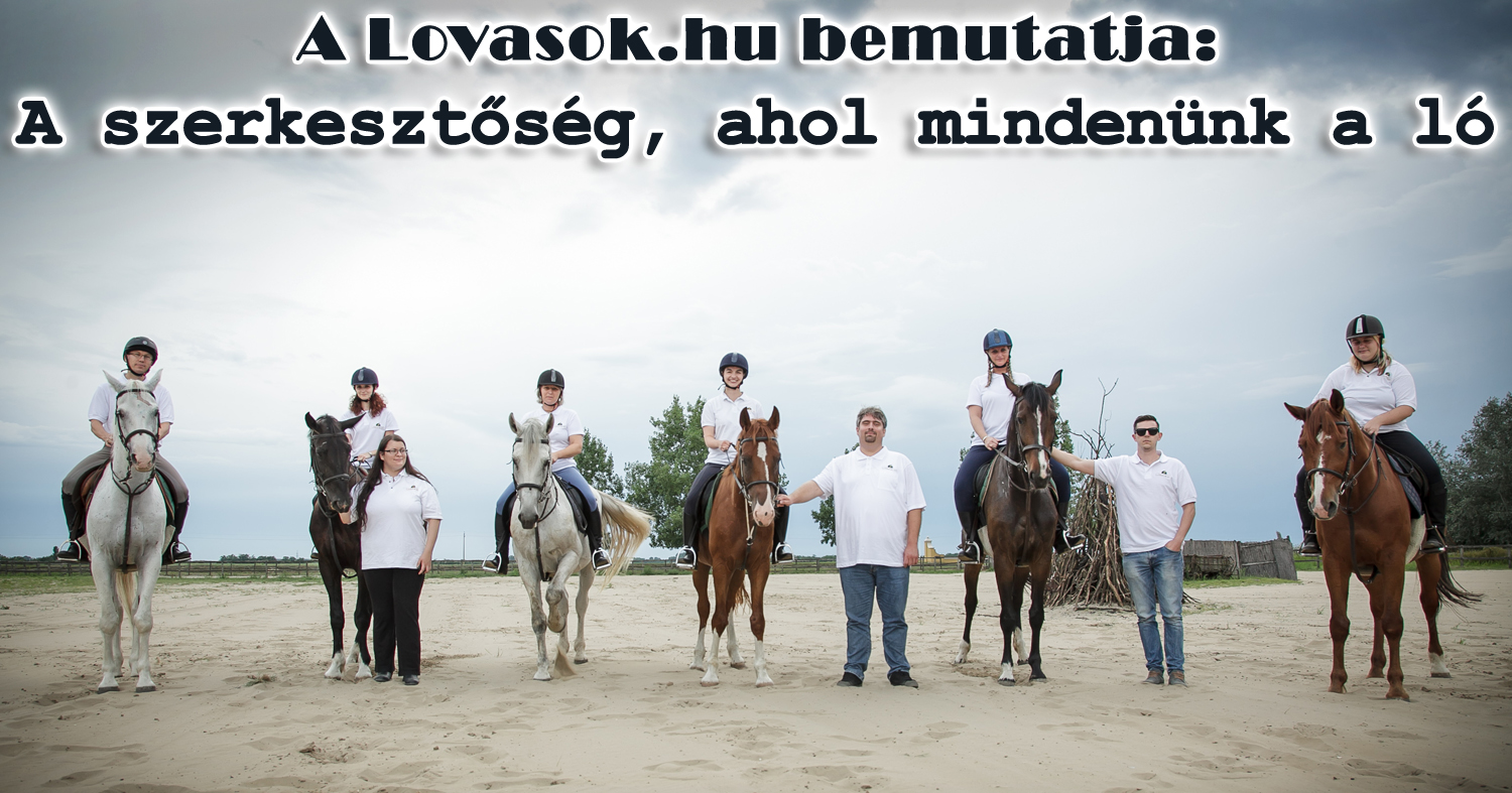 Lovasok.hu: a szerkesztőség, ahol mindenünk a ló | Lovasok.hu