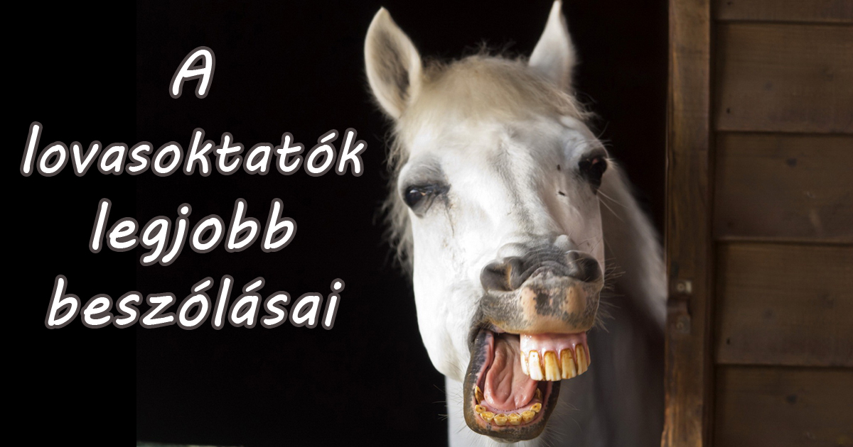 A lovasoktatók legjobb beszólásai | Lovasok.hu