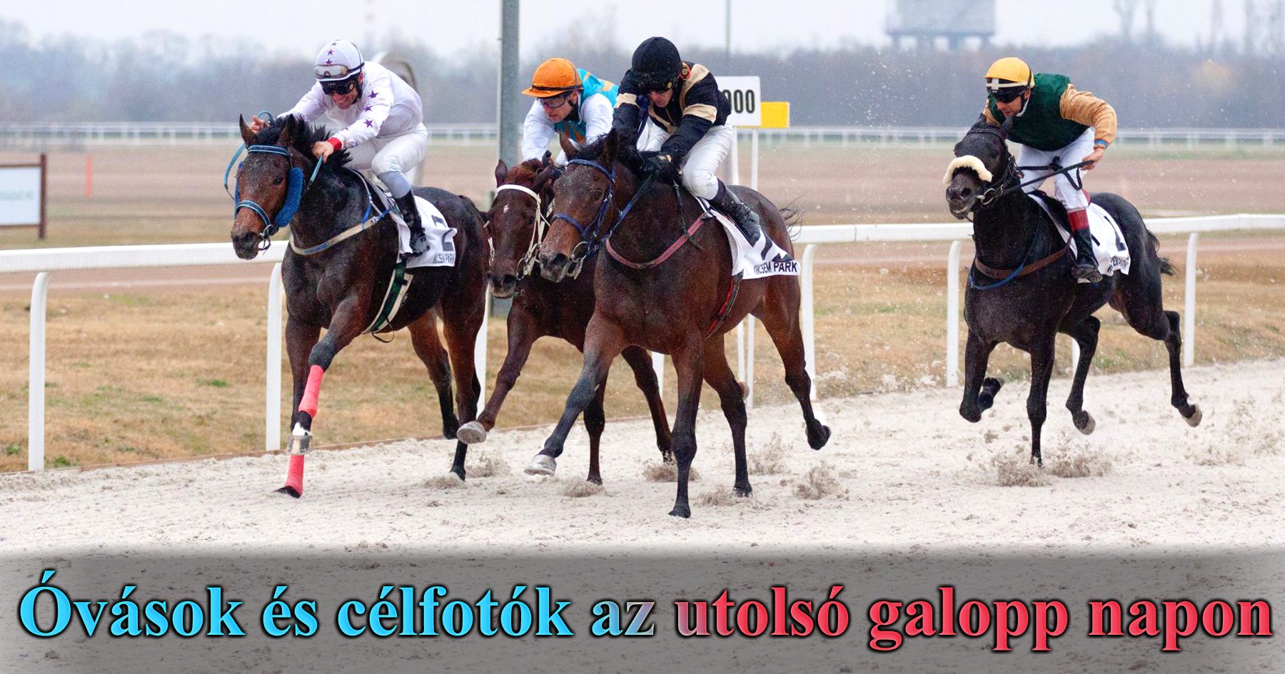 Óvások és célfotók az utolsó galopp napon | Lovasok.hu