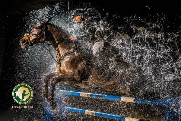 Lovasok az esőben | Lovasok.hu