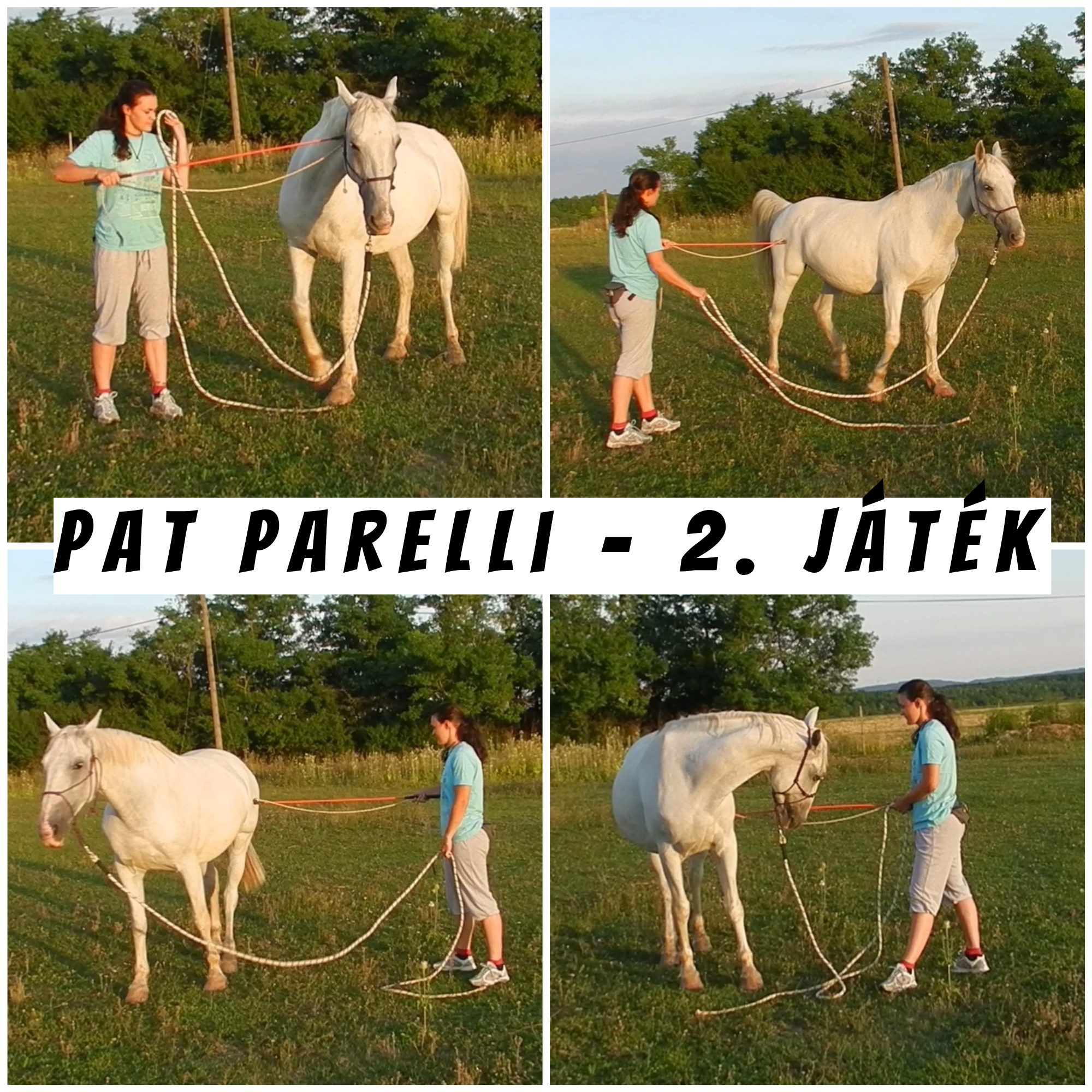 Pat Parelli 7 játék – 2. JÁTÉK: SÜN | Lovasok.hu