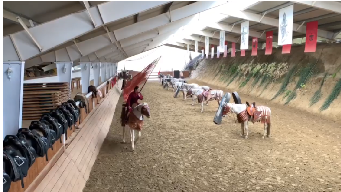 Főszereplők testközelből – Konkoly Merse | Lovasok.hu