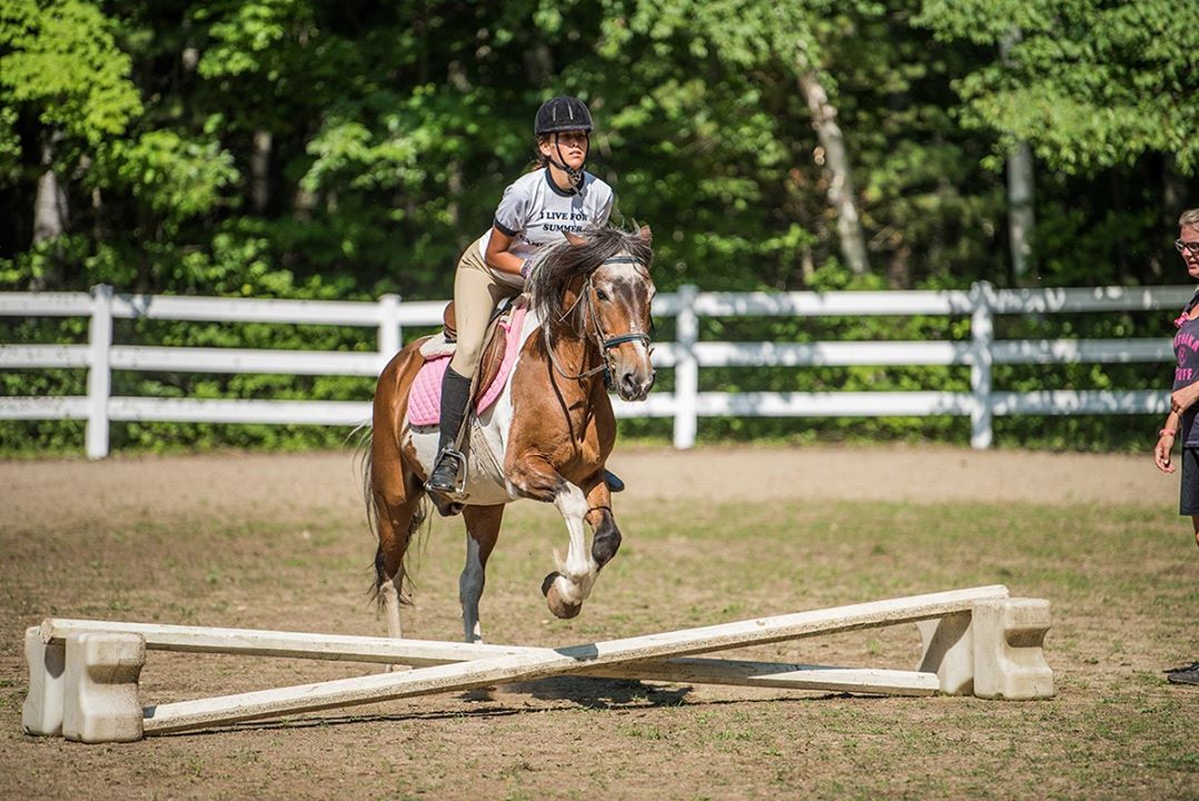 Hogyan lehetsz Amerikában lovasoktató? | Lovasok.hu