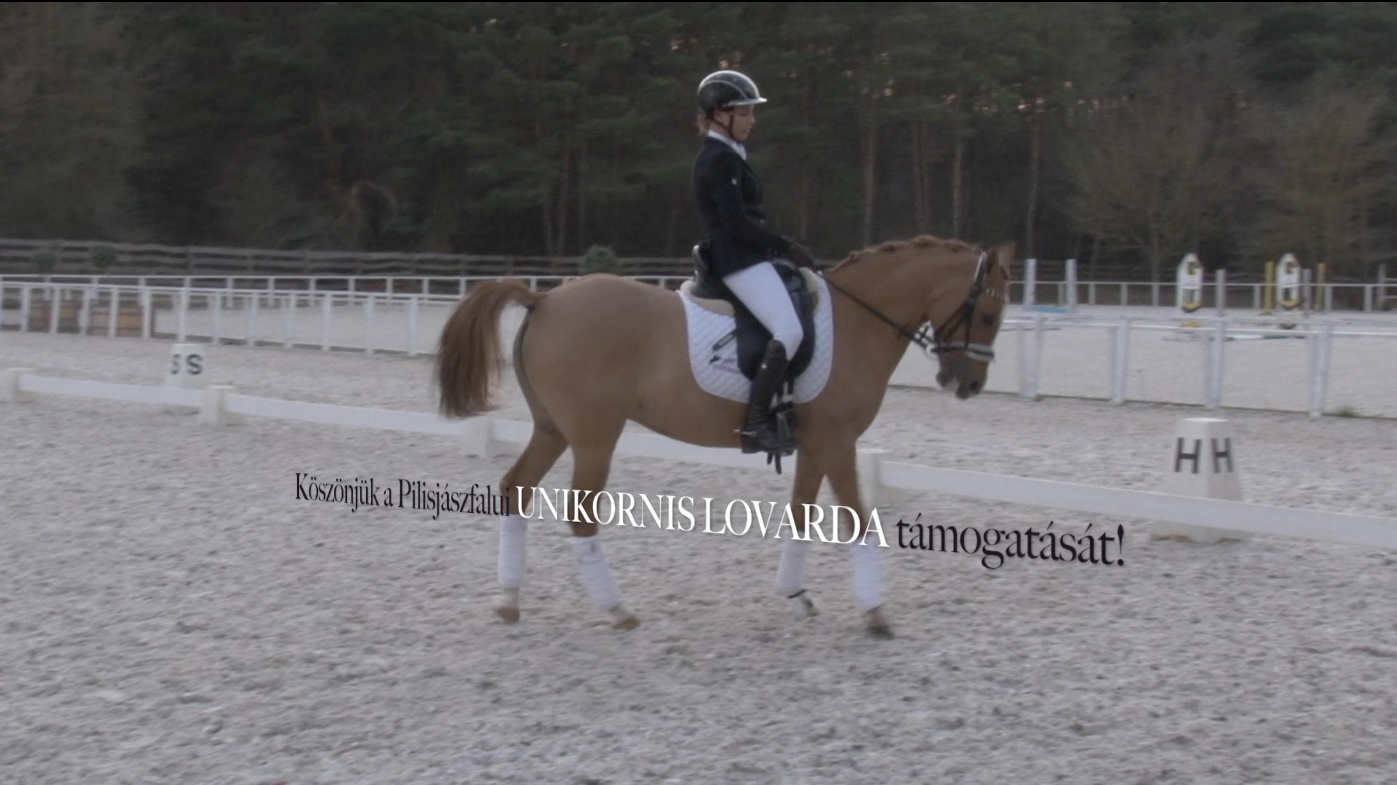 How can you sign up for the programs of the Lovasok.hu Academy ...