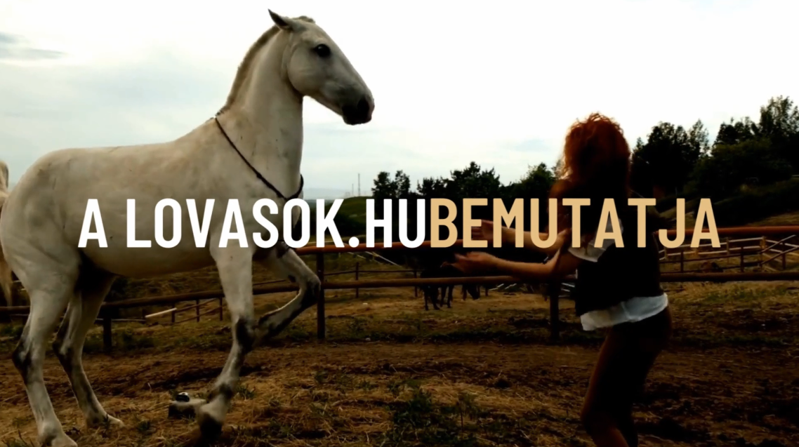 A Lovasok.hu bemutatja... | Lovasok.hu