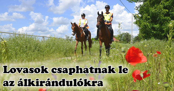 Lovasok csaphatnak le az álkirándulókra | Lovasok.hu
