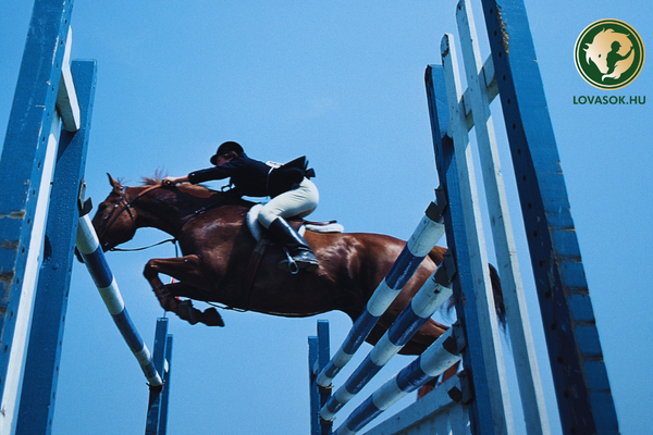 Nagy Zsófia fedettpályás gyermek döntő aranyérmese | Lovasok.hu