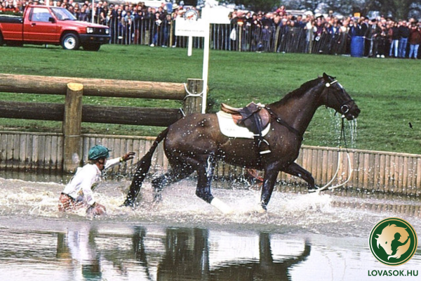 Ló és lovas biztonság a lovastusában | Lovasok.hu