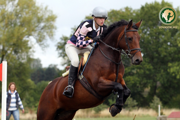 Kihívásokkal teli pálya vár a military lovasokra | Lovasok.hu