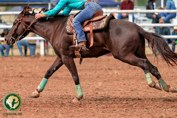 Győri lovasok és lovak nemzetközi sikere | Lovasok.hu