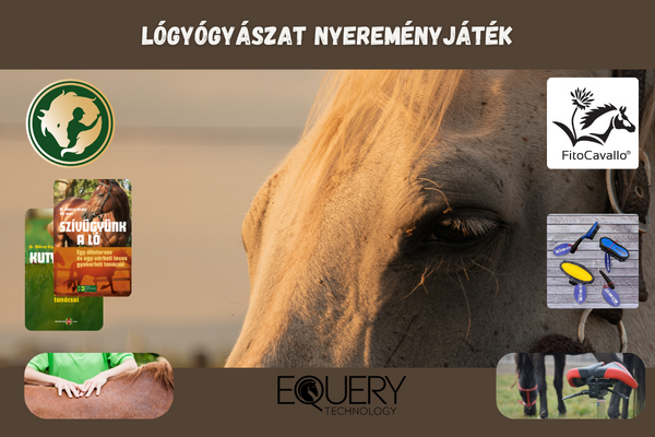 Lógyógyászati nyereményjáték a Lovasok.hu-nál! | Lovasok.hu