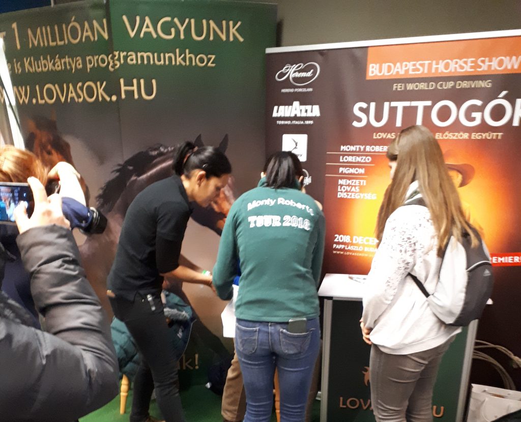 Eladó a Lovasok.hu, Magyarország legnagyobb lovas portálja! | Lovasok.hu